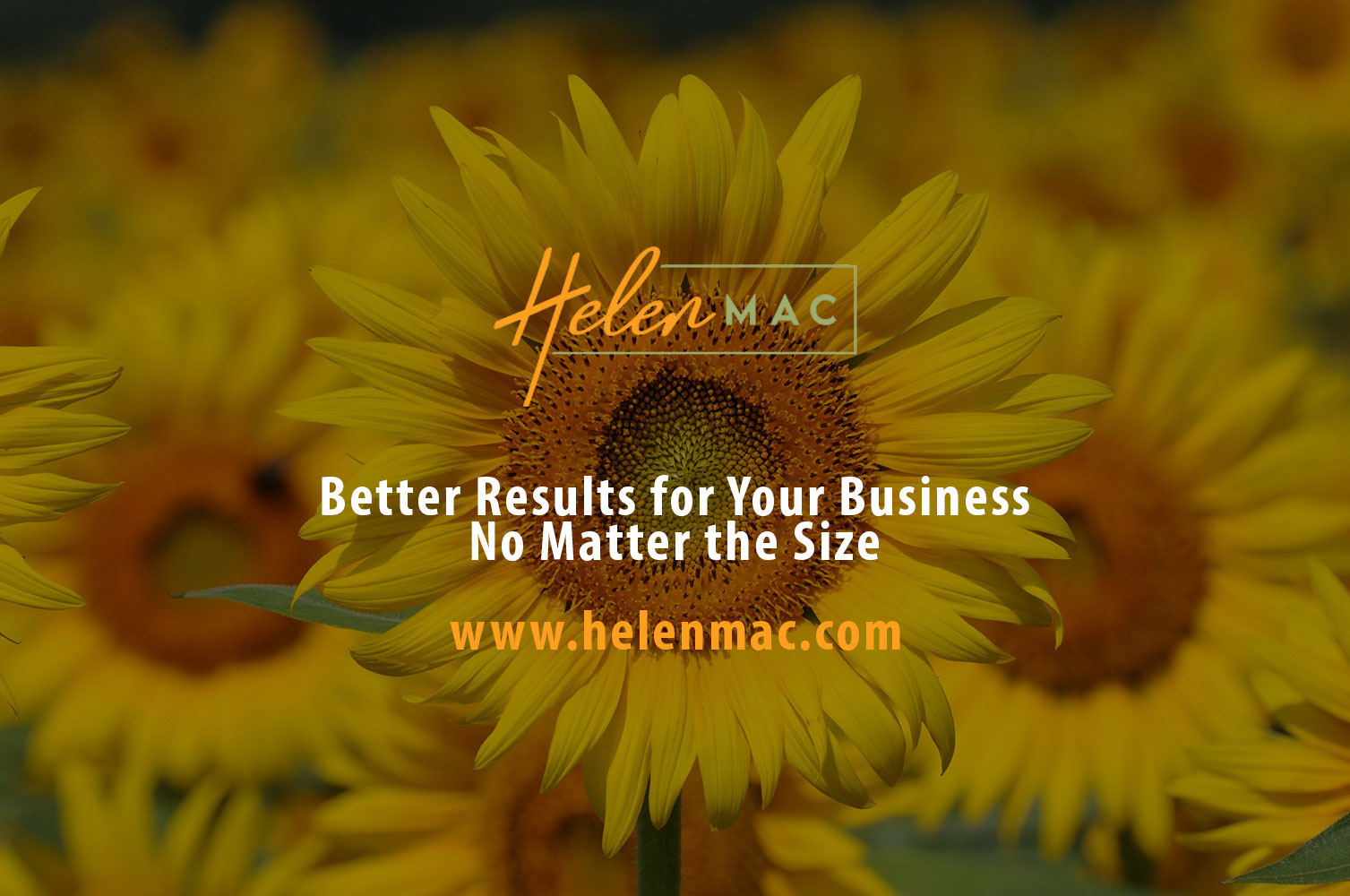 Personal Development – Helen Mac – Coach & Speaker
